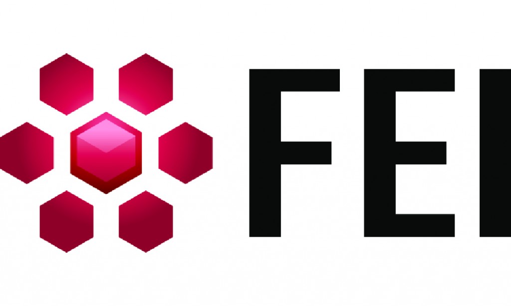 FEI_logo - MVA