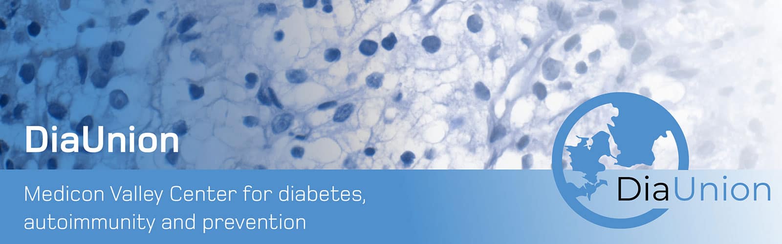 DiaUnion-banner-1600x500 - MVA