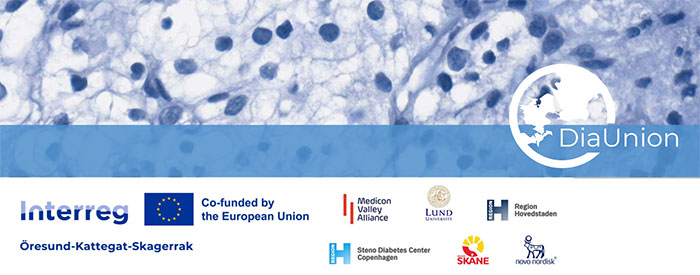 DiaUnion 2.0 is now a reality! - MVA